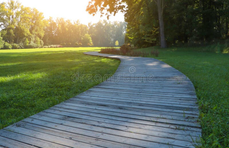 Beautiful Public City Park with Pathway and Green Grass Stock Photo ...