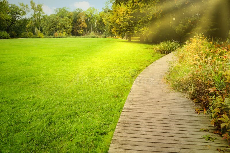 Beautiful Public City Park with Pathway and Green Grass Stock Image ...