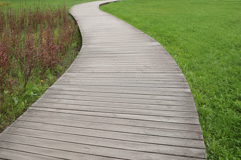 Beautiful Public City Park with Pathway and Green Grass Stock Photo ...