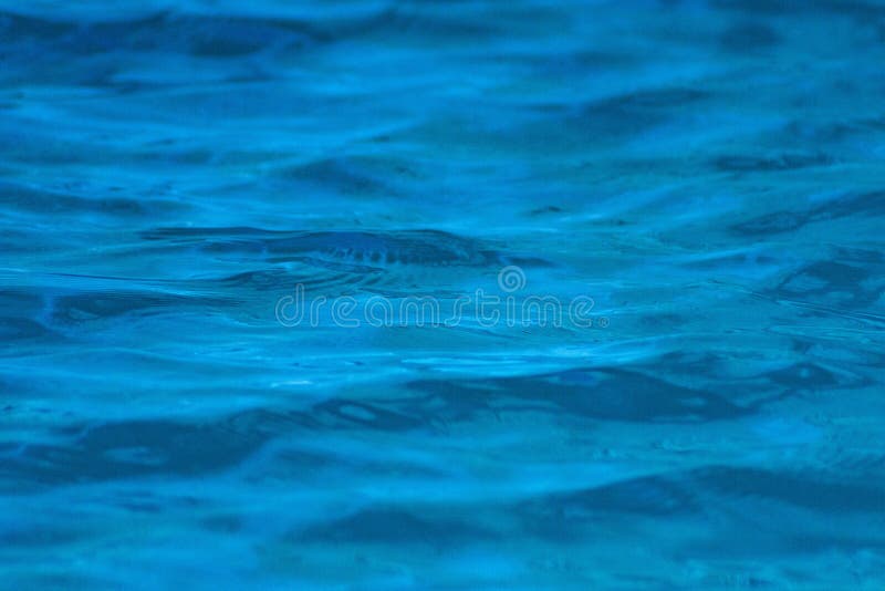 Beautiful Pure Blue Lake Water - Perfect for a Cool Background Stock ...