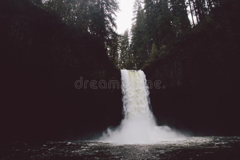 Beautiful Pure White Waterfall in the Forest Stock Photo - Image of ...
