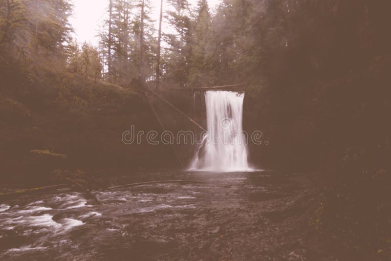 Beautiful Pure White Waterfall in the Forest Stock Image - Image of ...