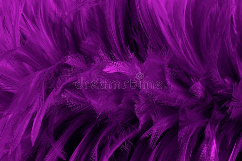 Dove Borders Stock Illustrations – 43 Dove Borders Stock Illustrations ...