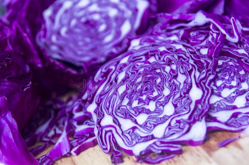 Beautiful purple cabbage stock image. Image of petal - 86073509