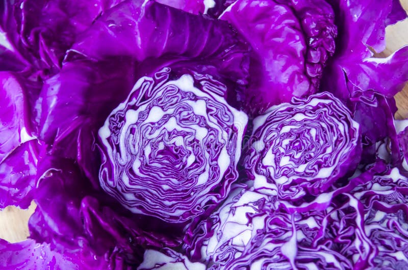Beautiful purple cabbage stock image. Image of petal - 86073509