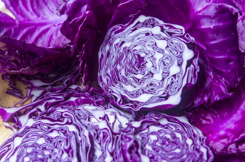 Beautiful purple cabbage stock image. Image of ingredients - 86073761