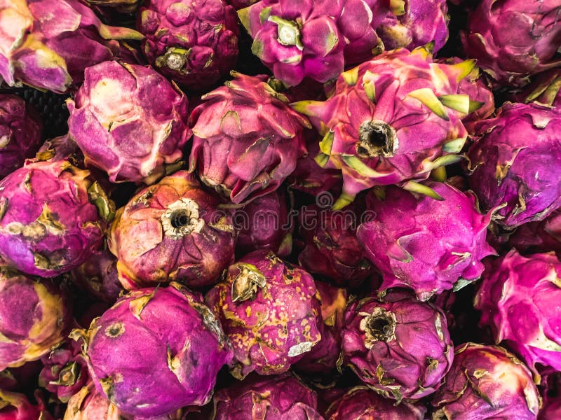 Purple dragon fruit stock photo. Image of tropical, dragon - 26499158