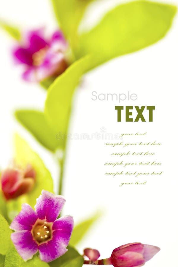 Gorgeous Organic Purple Background Stock Image - Image of leaves ...