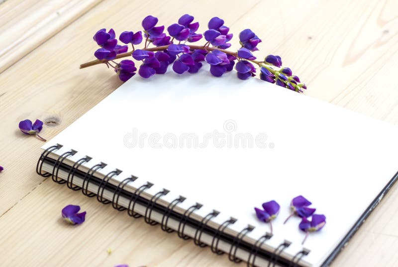 Beautiful Purple Flowers on a Notepad for Writing. Stock Photo - Image ...