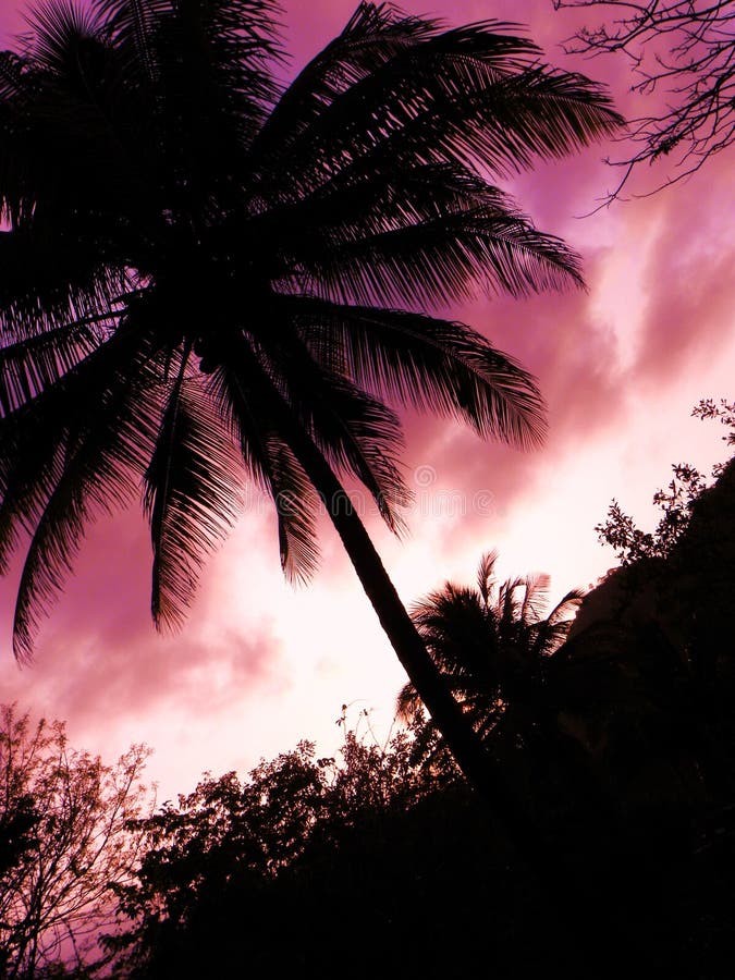 Sunset stock photo. Image of beautiful, shaded, sunset - 119445624