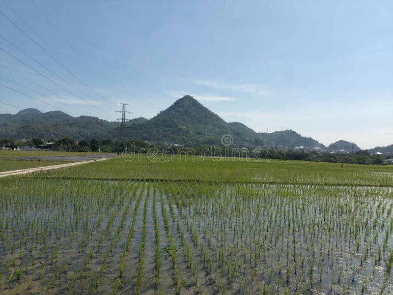 Leslie Knight Latest Stock Photos - Free & Royalty-Free Stock Photos ...