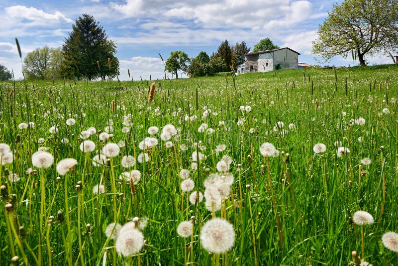 Beautiful Quiet Countryside Stock Image - Image of destination ...