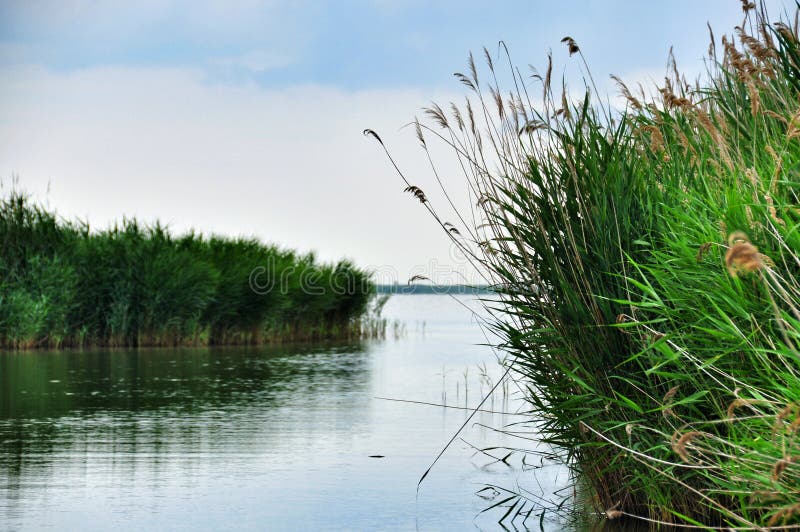 Quiet River Nature Countryside Asian, Green Park with Tree and Sunlight ...