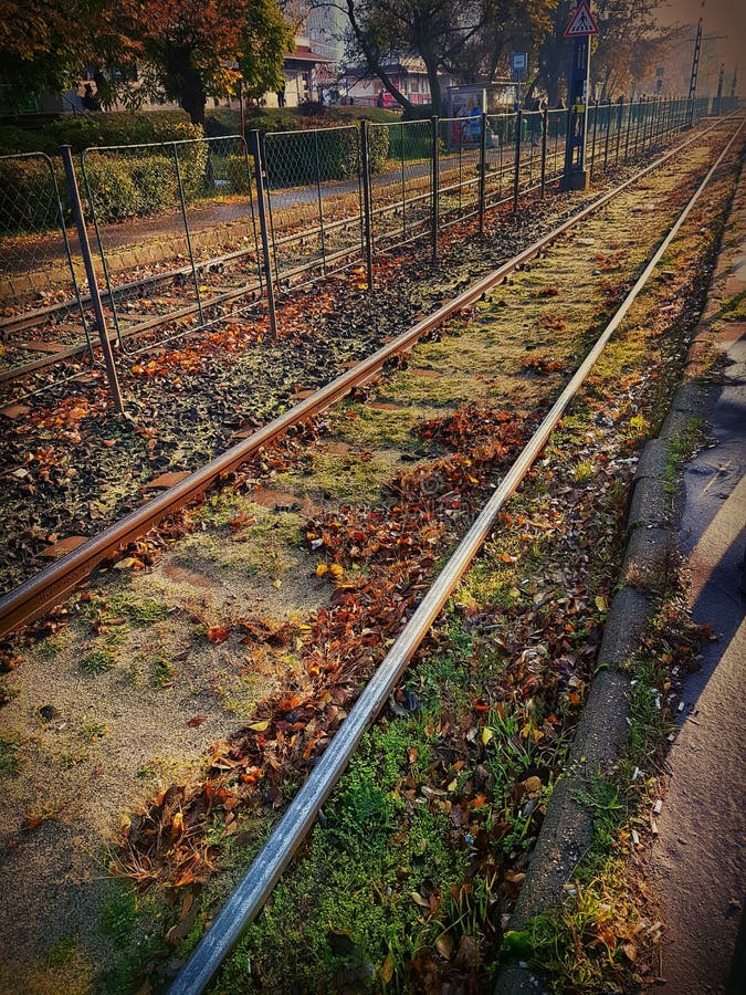 Beautiful rail stock photo. Image of autumn, station - 80410870
