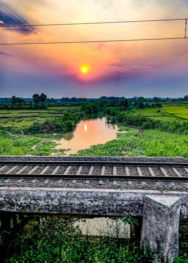 Green Paddy Fields Against the Backdrop of Blue Sky in Tadepalligudem ...