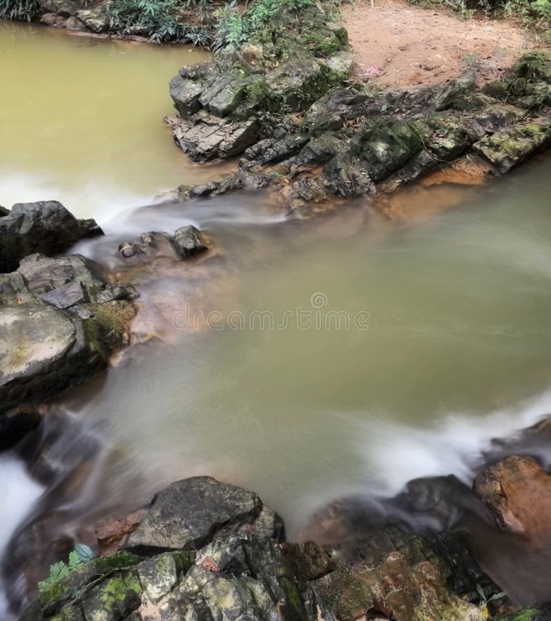 Rain forest waterfall stock image. Image of tree, rock - 234878093