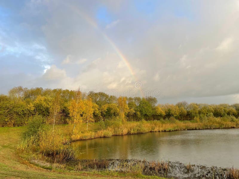 Beautiful Rainbow Over a Green Forest with a Lake Stock Image - Image ...