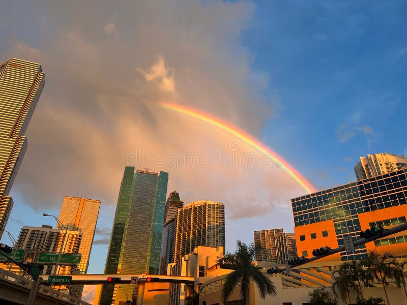 Miami Cityscape of Downtown with Buildings and Metro Area Behind the ...