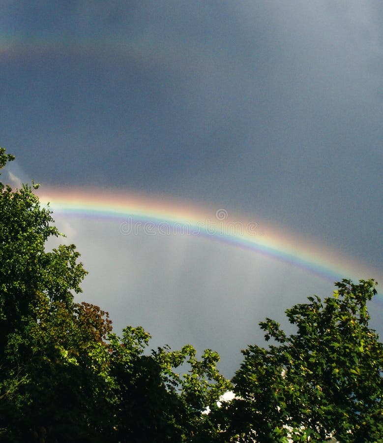 Beautiful Rainbow Over Tree Stock Image - Image of summertime, summer ...