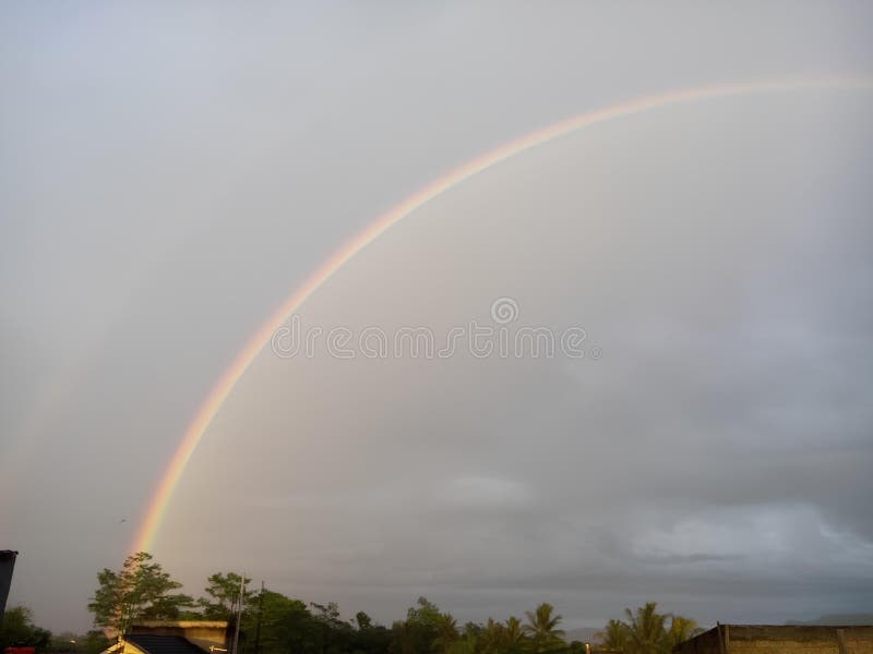 Beautiful Rainbow Scene on a Tree with Overcast Clouds Stock Photo ...