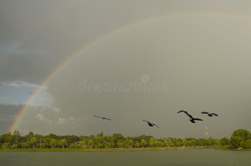 Beautiful Rainbow in the Sky Over the Lake Stock Image - Image of cloud ...