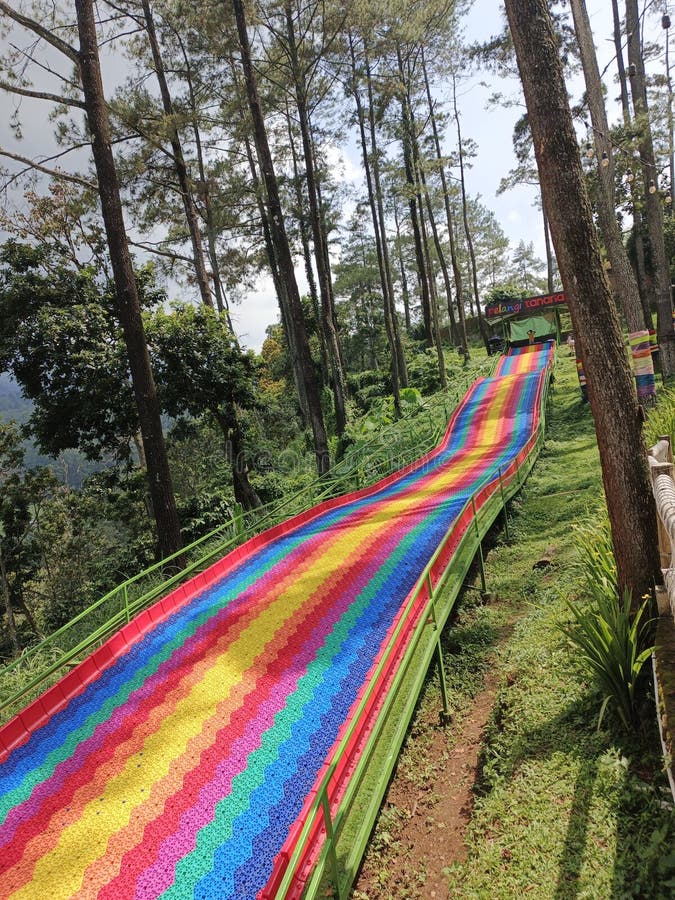 Beautiful Rainbow Slide Playground in the Forest Stock Photo - Image of ...