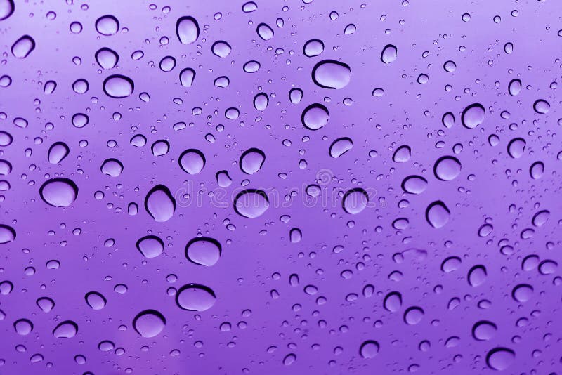 Beautiful Raindrops on the Purple Glass. Stock Photo - Image of liquid ...