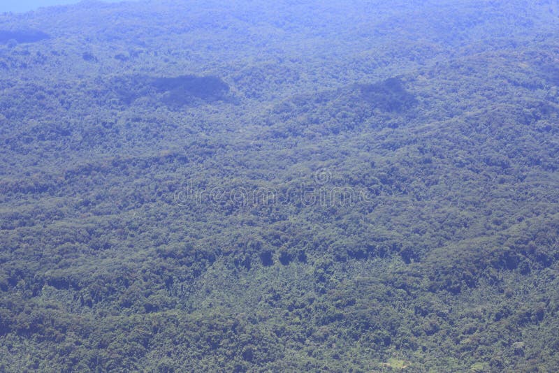 Beautiful Rainforest Of Solomon Island Stock Photo - Image of travel ...