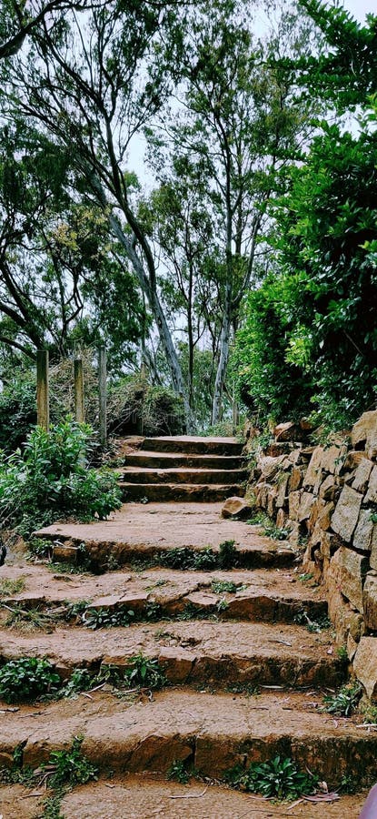 Beautiful Ramp with Greenery Stock Photo - Image of trail, wall: 197106996