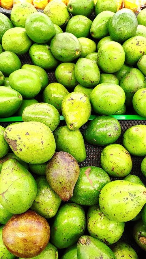 A Closer View of Beautiful Green Piling of Avocados Stock Image - Image ...