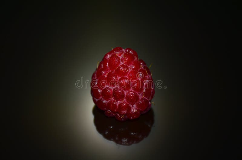 Beautiful Raspberry Berry with Water Drops Stock Photo - Image of light ...