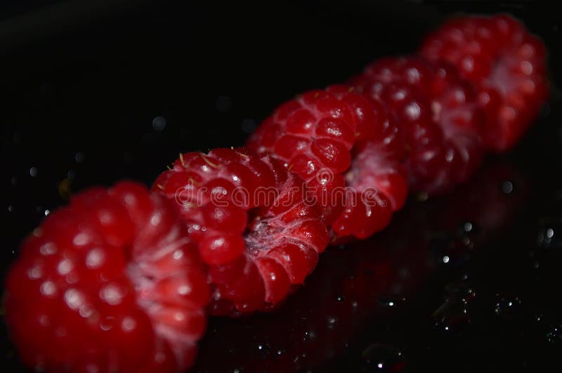 Beautiful Raspberry with Water Drops Stock Image - Image of gradient ...