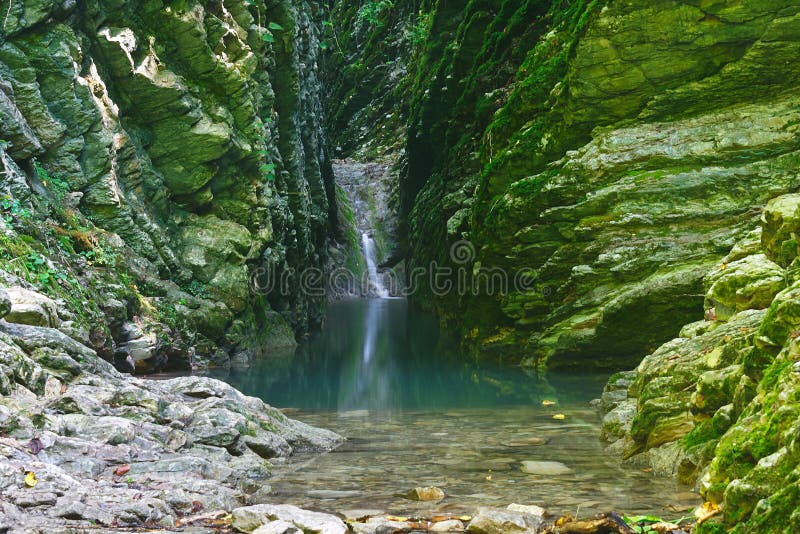 Beautiful Ravine Overgrown with Moss and Ivy with a Calm River and ...