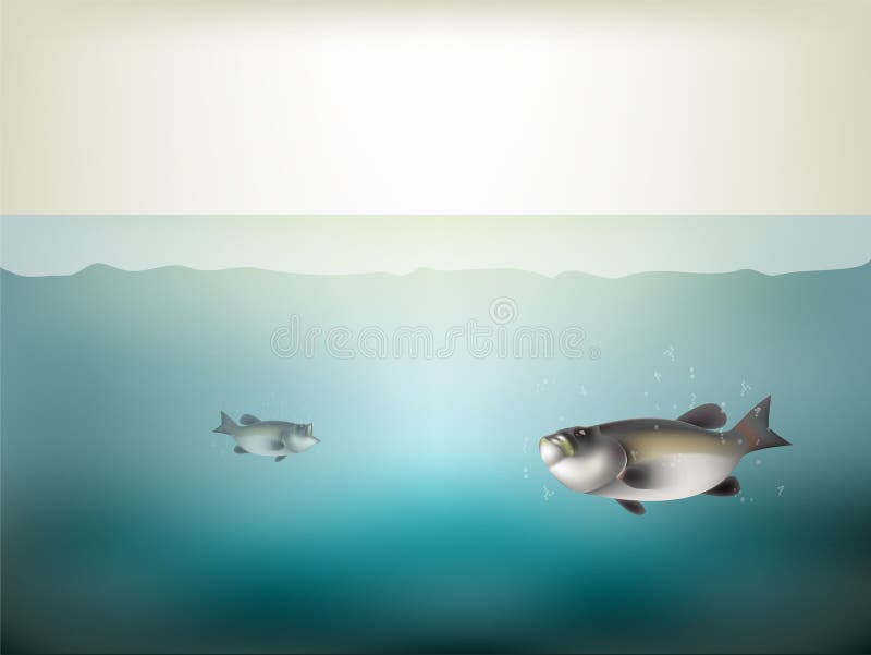Beautiful Realistic Graphic Design of Fish into the Sea Under Water ...