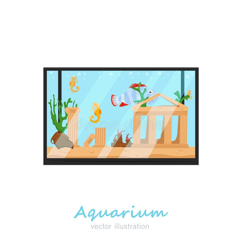 Rectangle Fish Tank Cartoon