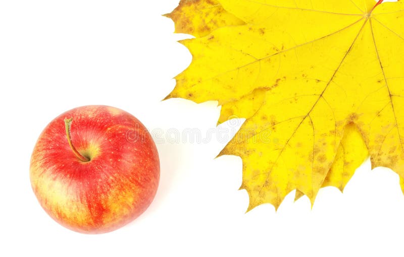 Beautiful Red Apple and Maple Leafs Stock Image - Image of colorful ...