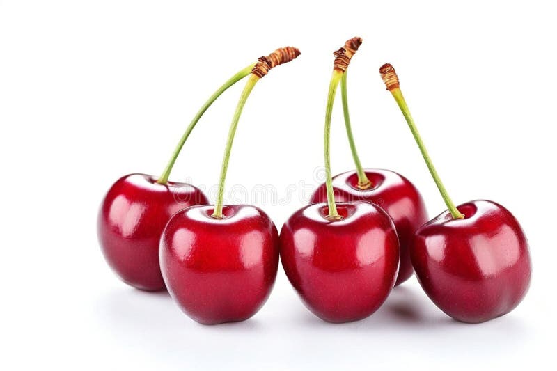 Beautiful Red Cherries on White Background Stock Illustration ...