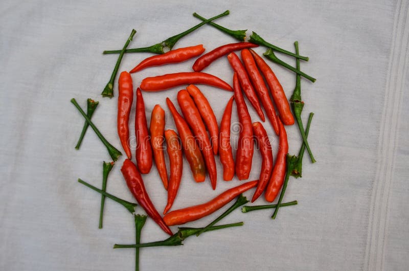 Beautiful Red Chilli in the Ground Stock Photo - Image of green, ground ...