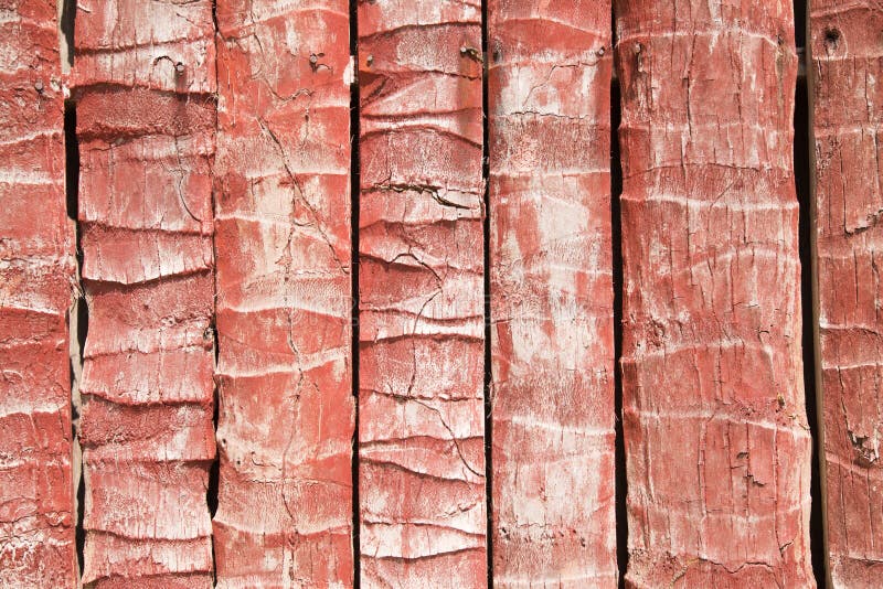 Beautiful red coconut wall stock photo. Image of design - 40763494