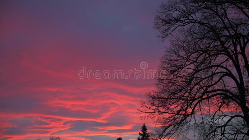 Beautiful Red Colored Sky at Sunset, Silhouettes of Trees on the ...