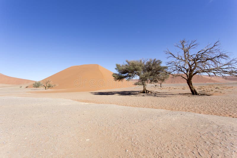 Beautiful Red Dune in the Desert Stock Photo - Image of landscape, dune ...