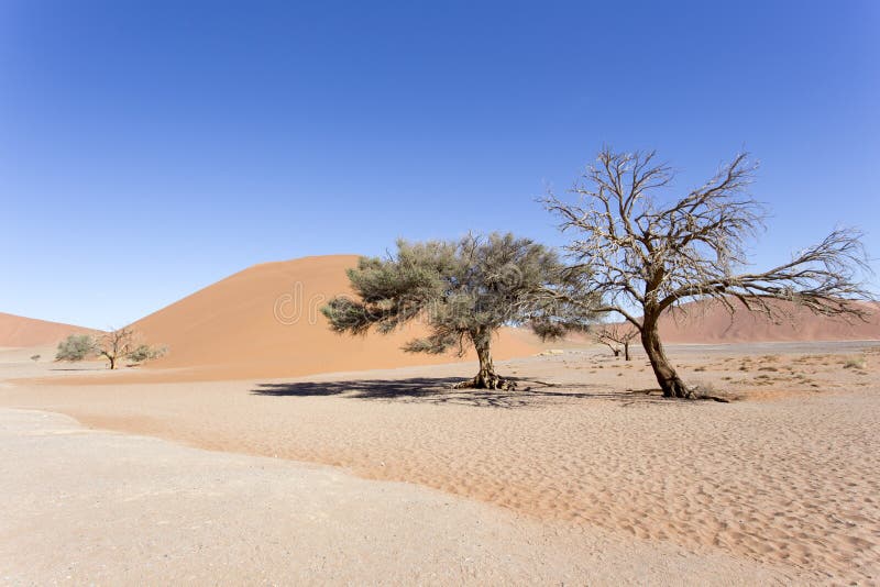 Beautiful Red Dune in the Desert Stock Image - Image of dunes, scenery ...