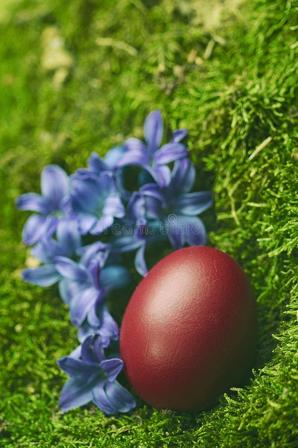 Beautiful red Easter egg stock image. Image of hunting - 23970383