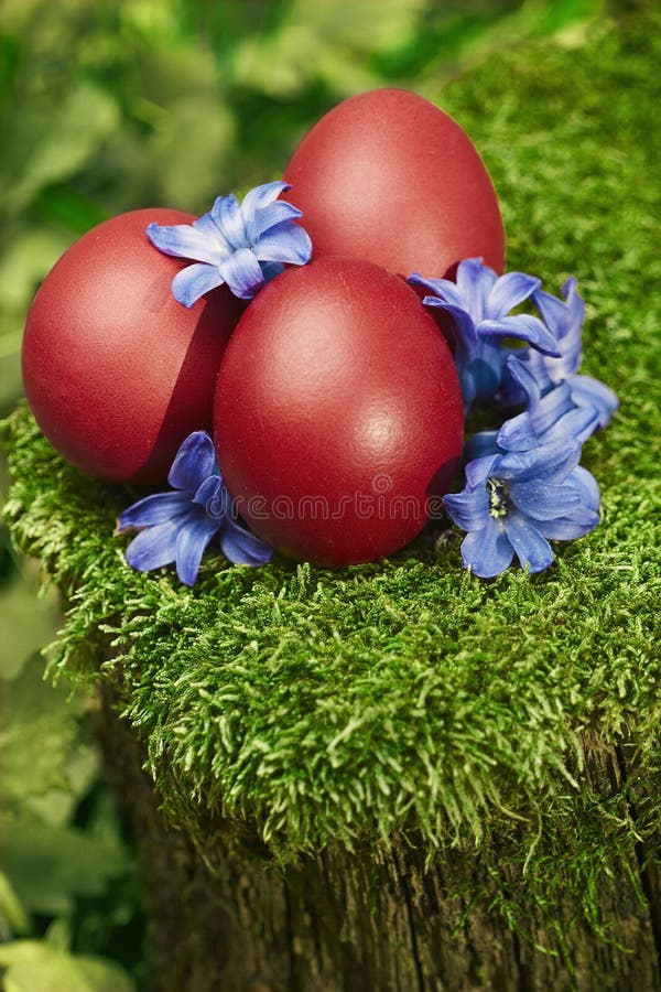 Beautiful red Easter eggs stock image. Image of celebration - 23970191