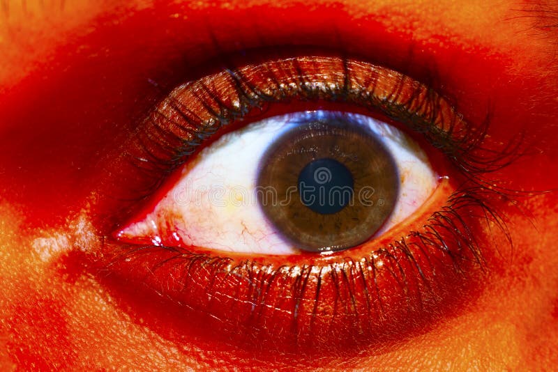 Human eyes stock image. Image of attractive, face, human - 252322061