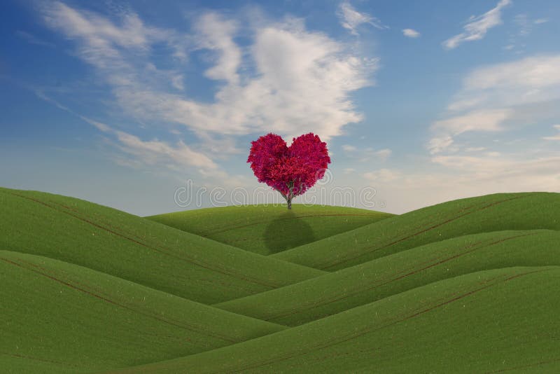 Beautiful Red Heart Shaped Tree on a Field Stock Illustration ...