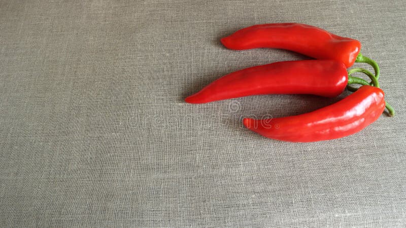 Beautiful red kapi pepper stock image. Image of ripe - 211565231