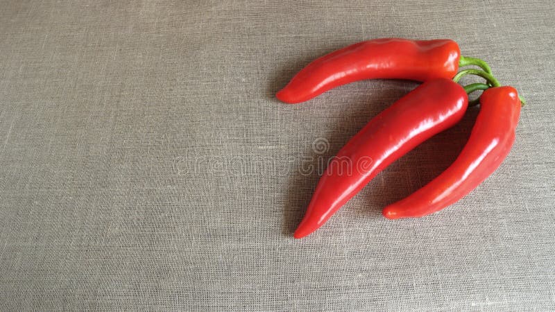 Beautiful red kapi pepper stock photo. Image of capi - 211565234