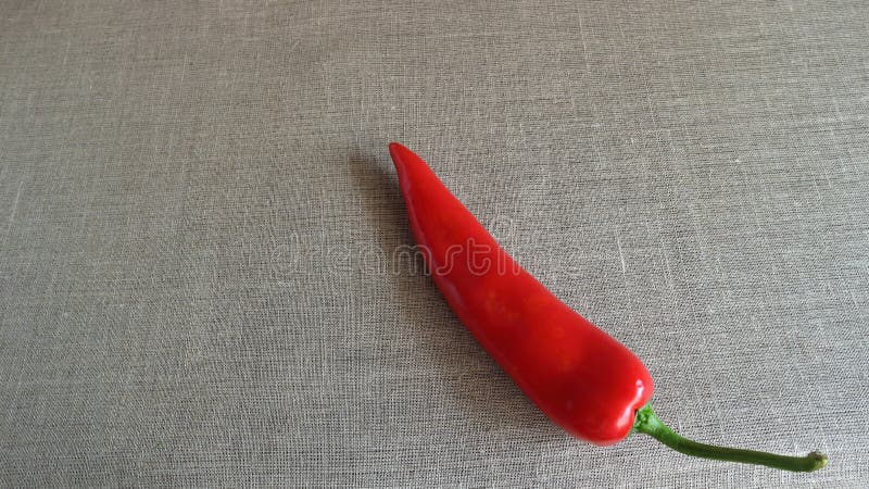 Beautiful red kapi pepper stock image. Image of cooking - 211565363