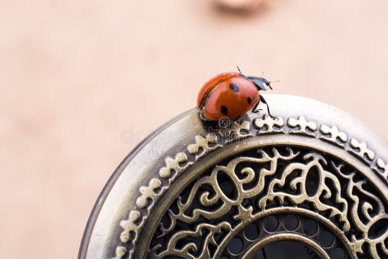 Beautiful Red Ladybug Walking on a Pocket Watch Stock Image - Image of ...